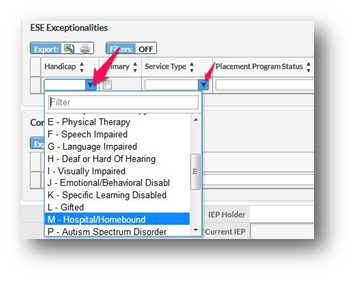 ESE & 504 – PAEC Help Desk